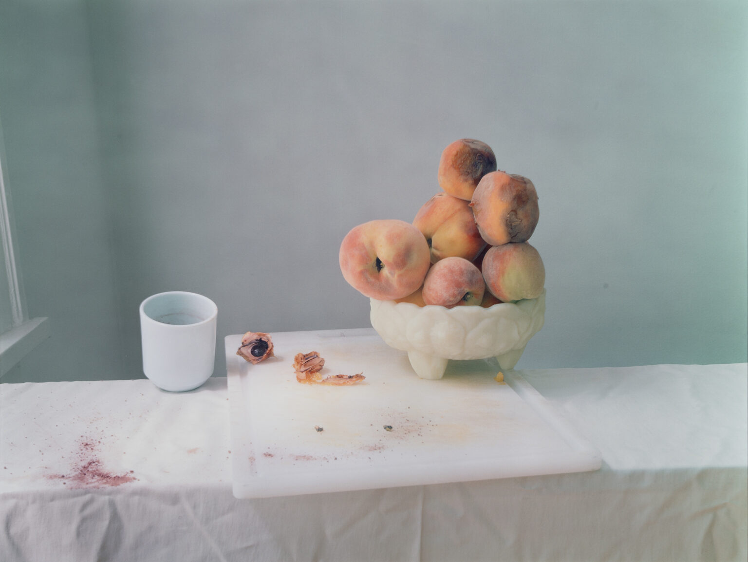 Still Life: The Object as Subject – MoCP